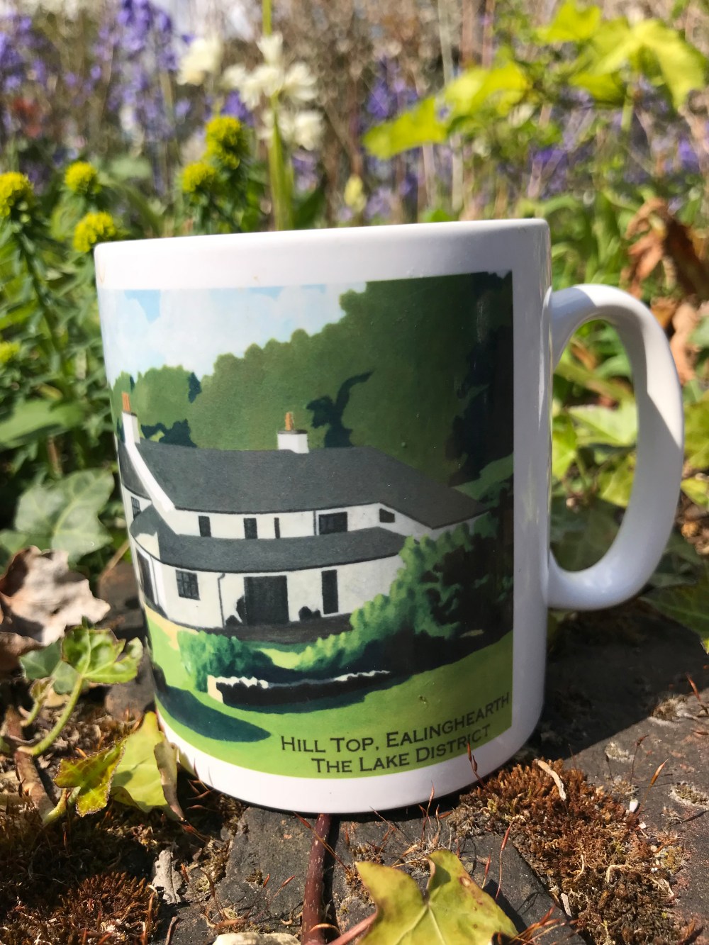 Swallows and Amazons mugs make great Birthday presents or gifts for ...