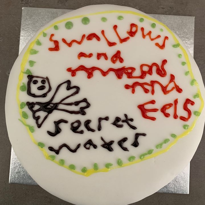 Swallows and Amazons cakes – Sophie Neville