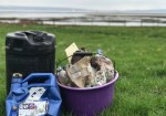 Diary of a litter-picker: week 1 of the Great British Spring Clean ...