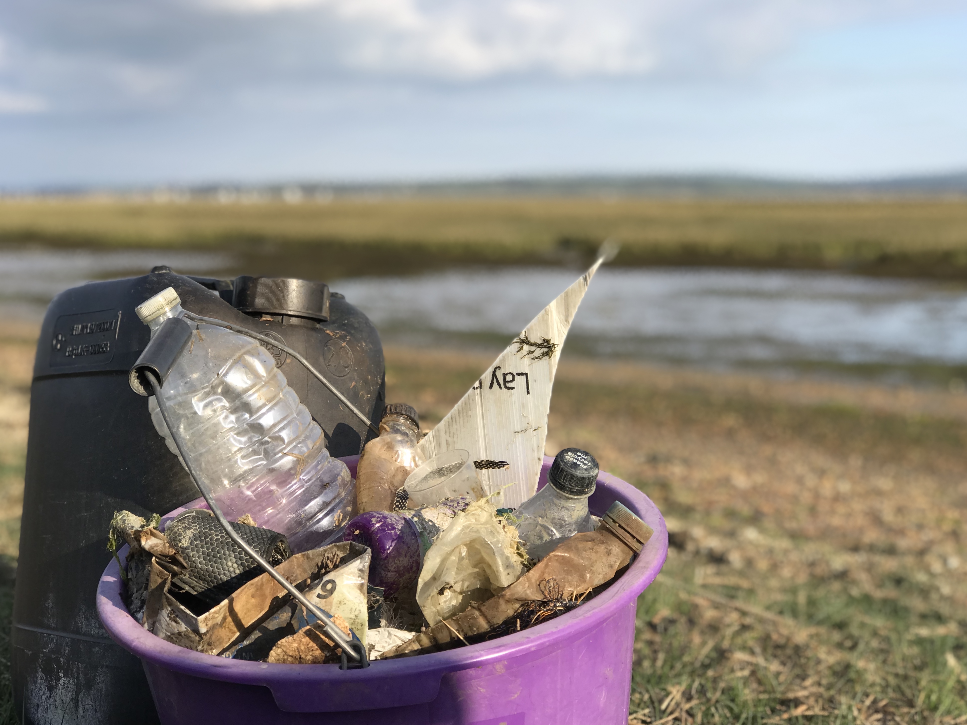 The diary of a litter picker: 20 reasons why it’s good to collect trash ...