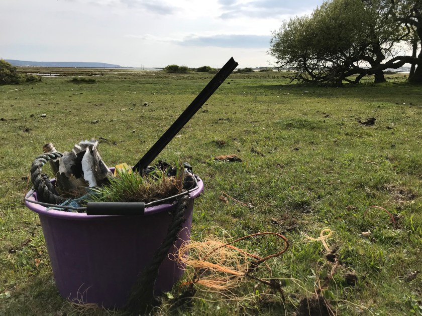 The diary of a litter picker: 20 reasons why it’s good to collect trash ...