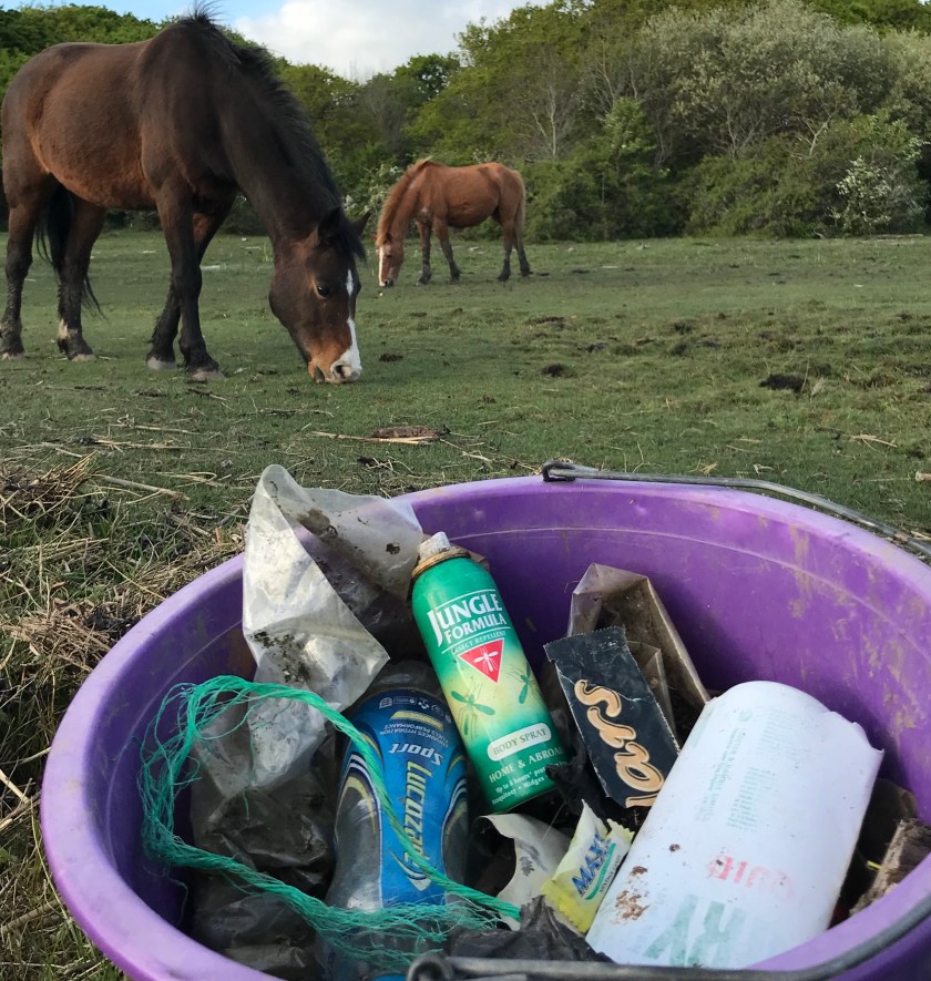 The diary of a litter picker: 20 reasons why it’s good to collect trash ...