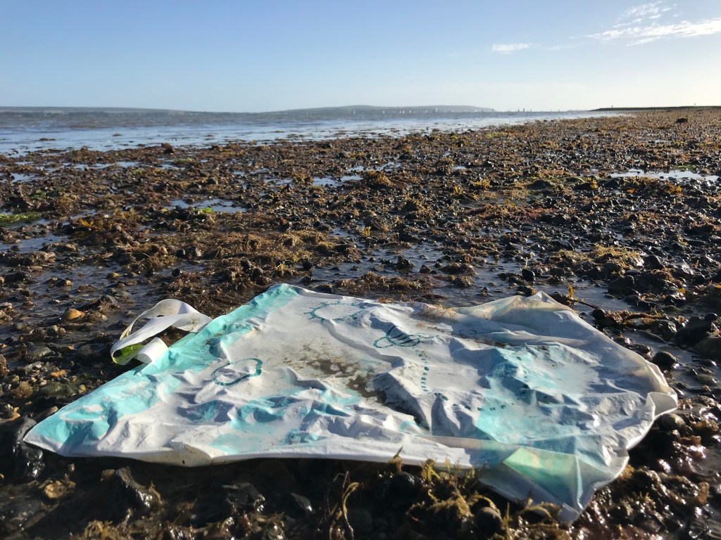 Diary of a beachcomber: Taking part in the Great British Beach Clean ...