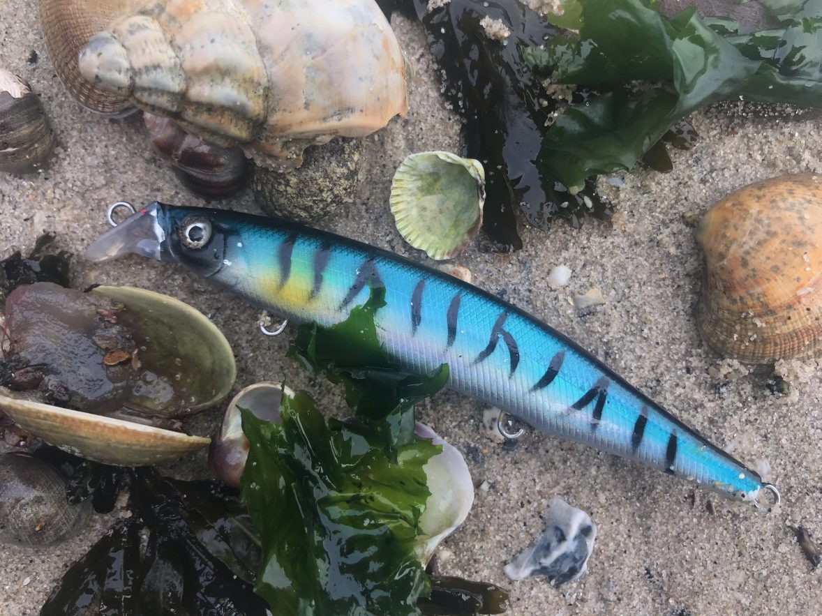 Diary of a Litter Picker: The ten most beautiful or useful things I ...