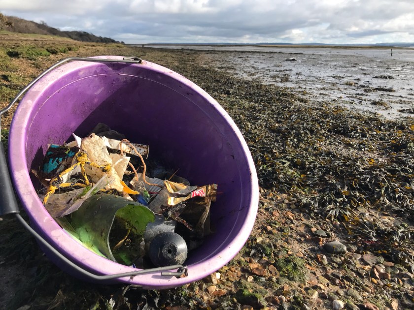 Diary of a Beachcomber on Solent shores where I’m told, ‘There is no ...