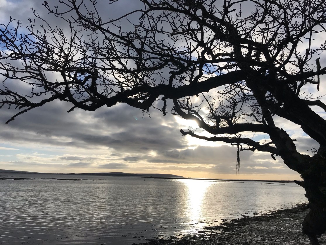 Diary of a Beachcomber on Solent shores where I’m told, ‘There is no ...